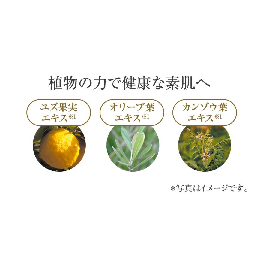 キューサイ コラリッチ クリーミーソープ 80g 4個まとめ買い : キューサイ健康食品販売 株式会社 - 通販 - Yahoo!ショッピング