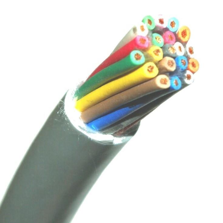 多芯キャプタイヤケーブルVCTF 0.5sq×20c 1m単位切断販売 : vctf05-20-1 : 秋葉原の九州電気ヤフー店 - 通販 - Yahoo!ショッピング