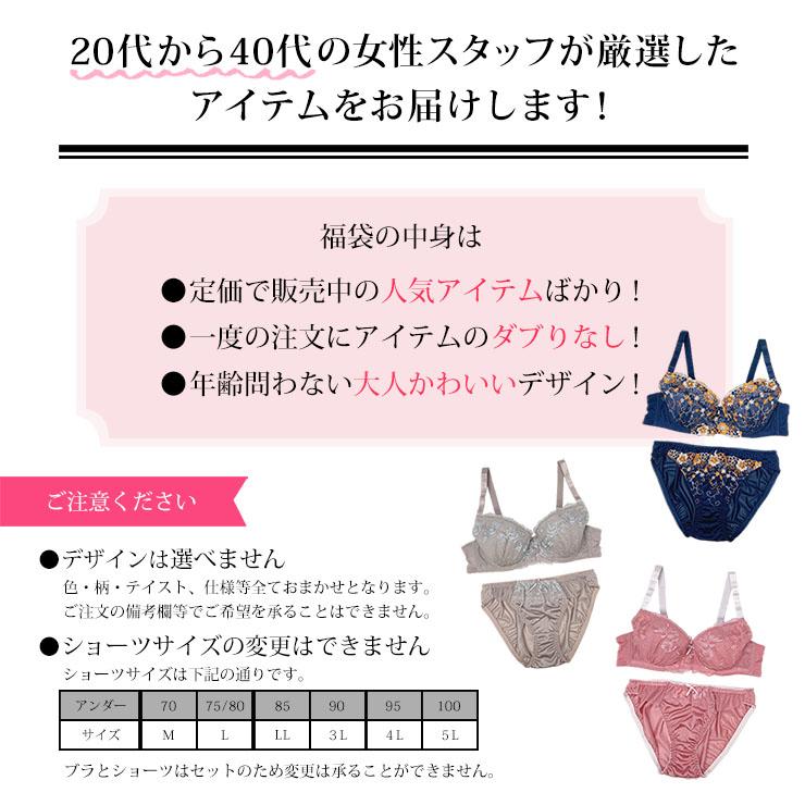 ブラセット 大きいサイズ 福袋 刺繍ブラ ショーツセット B85 B90 B95 C85 C90 C95 D85 D90 D95 E85 E90 E95 E100 F85 F90 F95 ...