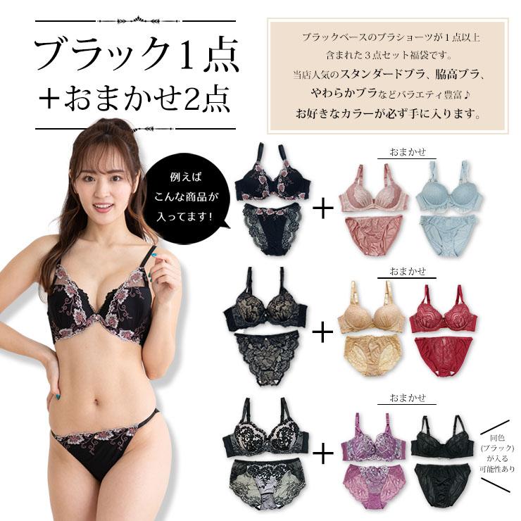 大きいサイズ 下着 福袋 2024 ブラジャー ショーツセット 上下セット B85 B90 B95 C85 C90 C95 D85 D90 D95 E80 E85 E90 E95 E100 ...