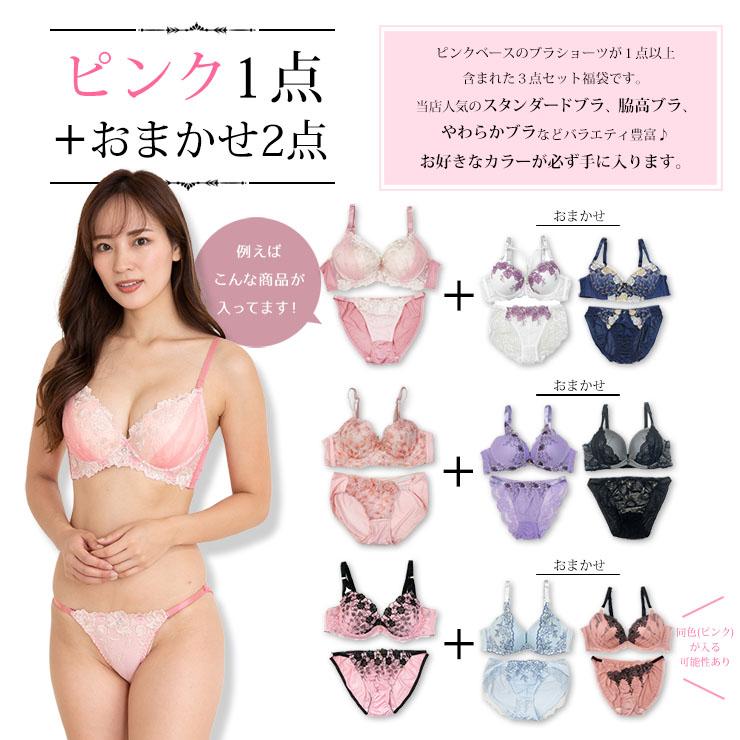 大きいサイズ 下着 福袋 2024 ブラジャー ショーツセット 上下セット B85 B90 B95 C85 C90 C95 D85 D90 D95 E80 E85 E90 E95 E100 ...