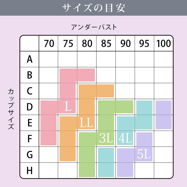 レディース下着 大きいサイズ レディース ナイトブラ ショーツセット ノンワイヤー 無地 レース L LL 3L 4L 5L ブラック ワインレッド 新入荷 メール便不可 : 大きいサイズの ...