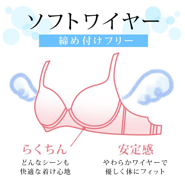 大きいサイズ ブラジャー ショーツセット ソフトワイヤー レディース 女性下着 インナー ランジェリー E80 E85 E90 E95 E100 : 大きいサイズのレディース服&下着専門店 ...