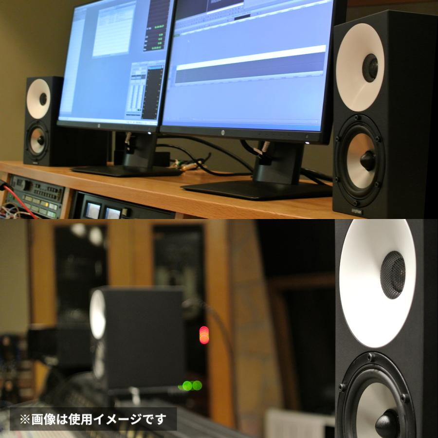 Amphion One12 Nearfield monitor Pair! アンフィオン : La Casa Acustica - 通販 ...