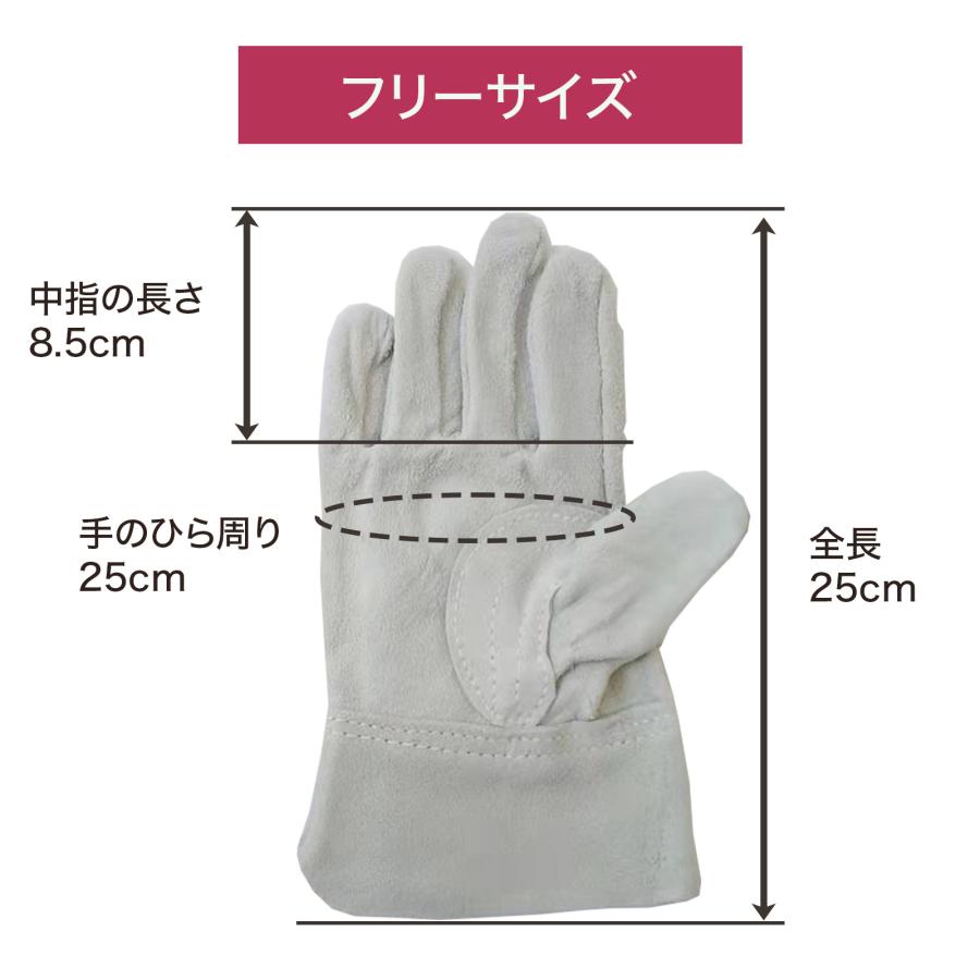 牛床革背縫い手袋 アテ付き : LACCU - 通販 - Yahoo!ショッピング