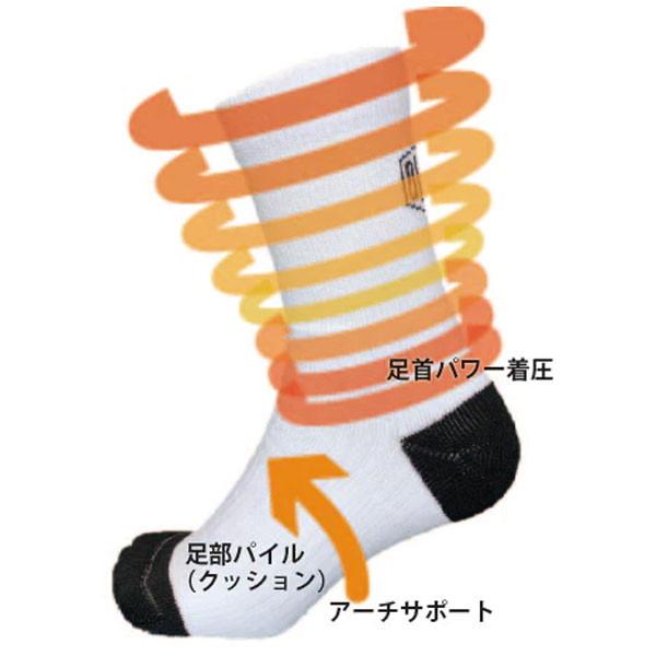 C3Fit OLENO オレノ BASKETBALL CREW 靴下 バスケットボール 27-29cm 29-31cm ユニセックス 02-037 : Lafitte ラフィートスポーツ ...