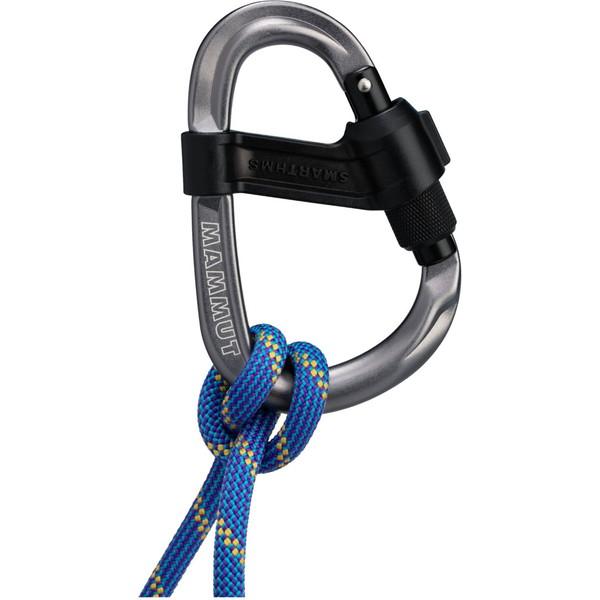 MAMMUT マムート SMART HMS 2.0 SCREWGATE 204002550-1502 : 204002550-1502 : Lafitte ラフィート スポーツ - 通販 ...