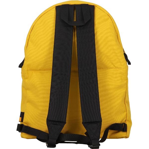 ケルティ KELTY SANDPIPER 2.0 アウトドア バックパック 3259258124