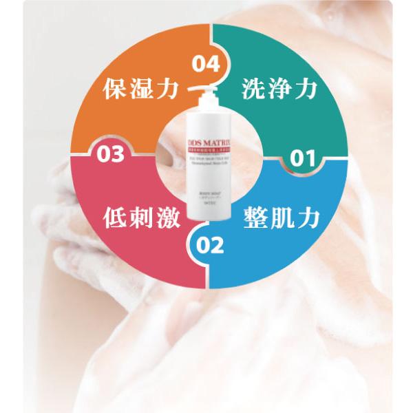 DDS MATRIX マトリックス ボディソープ（全身用）500ml 間葉系幹細胞培養上清液配合 ヒト脂肪細胞順化培養液エキス :DDS-MATRIX-BODYSOAP:Lafitte ...
