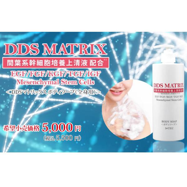 DDS MATRIX マトリックス ボディソープ（全身用）500ml 間葉系幹細胞培養上清液配合 ヒト脂肪細胞順化培養液エキス :DDS-MATRIX-BODYSOAP:Lafitte ...