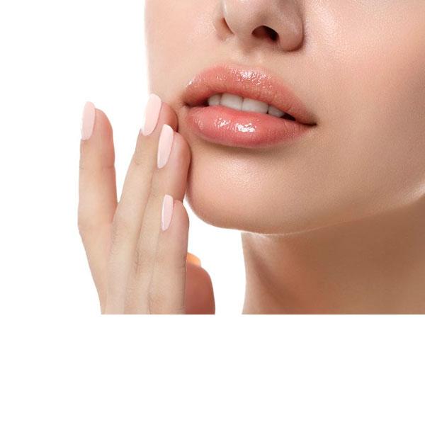 DDS MATRIX マトリックス エキス リップ用 8g ヒト脂肪細胞 線維芽細胞 ヒアルロン酸 コラーゲン エラスチン : Lafitte ...