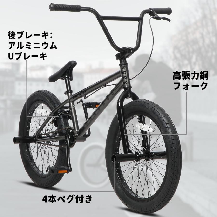 AVASTA BacchusBMX 自転車 20インチ フリースタイルBMXバイク AVASTA BacchusBMX 自転車 20インチ フリースタイルBMXバイク