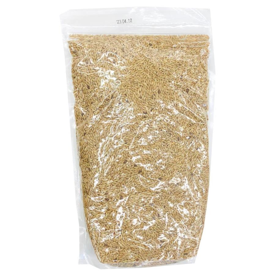 小鳥用間食 カナリアシード 550g : Arclands Online 2号館 ヤフー店 - 通販 - Yahoo!ショッピング