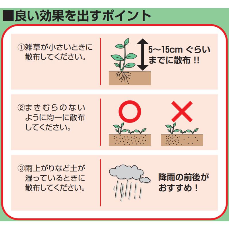 カソロン粒剤2.5 3kg : Arclands Online 2号館 ヤフー店 - 通販 - Yahoo!ショッピング