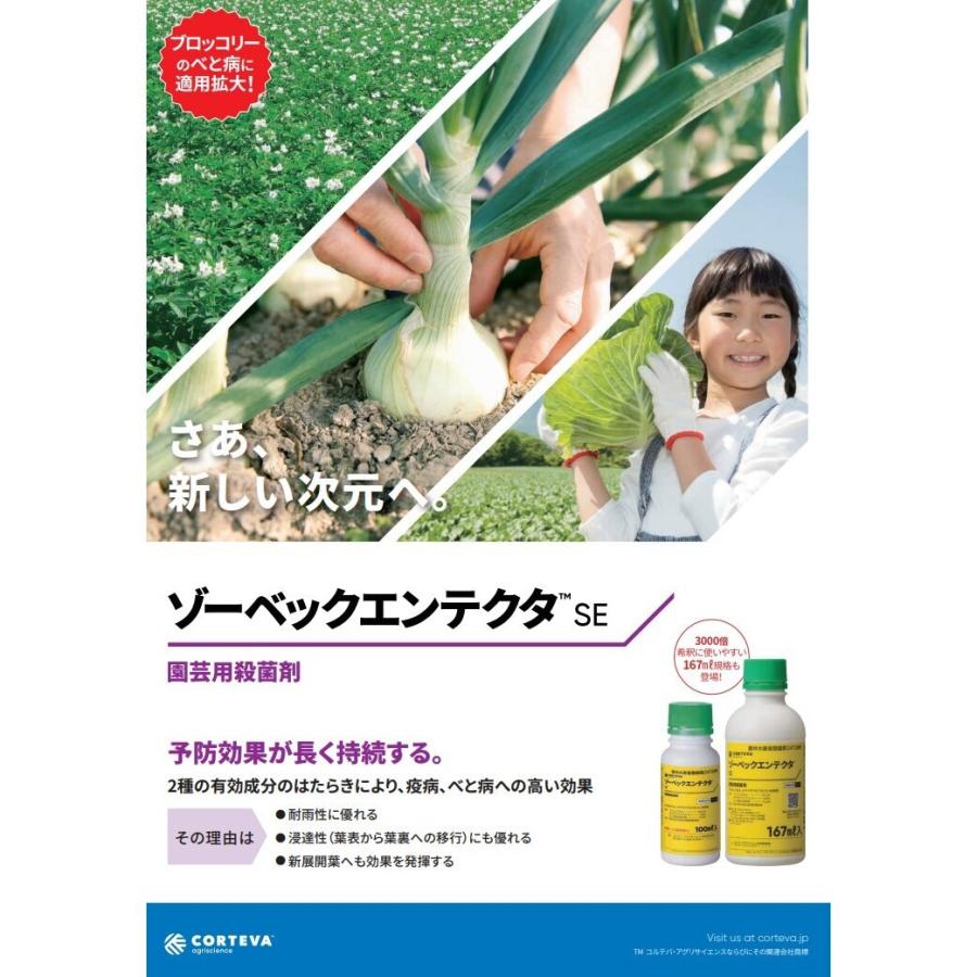 ゾーベックエンテクタSE 100ml : Arclands Online ヤフー店 - 通販 - Yahoo!ショッピング