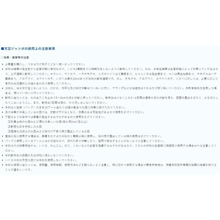 天空ジャンボ 300g : 495791963619 : Arclands Online ヤフー店 - 通販 - Yahoo!ショッピング