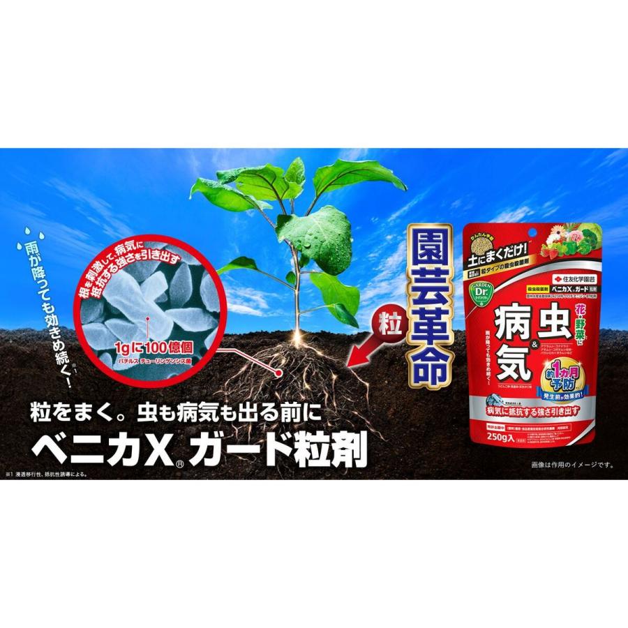 住友化学園芸 ベニカXガード粒剤 550g ×5個 セット販売 : Arclands Online ヤフー店 - 通販 - Yahoo!ショッピング