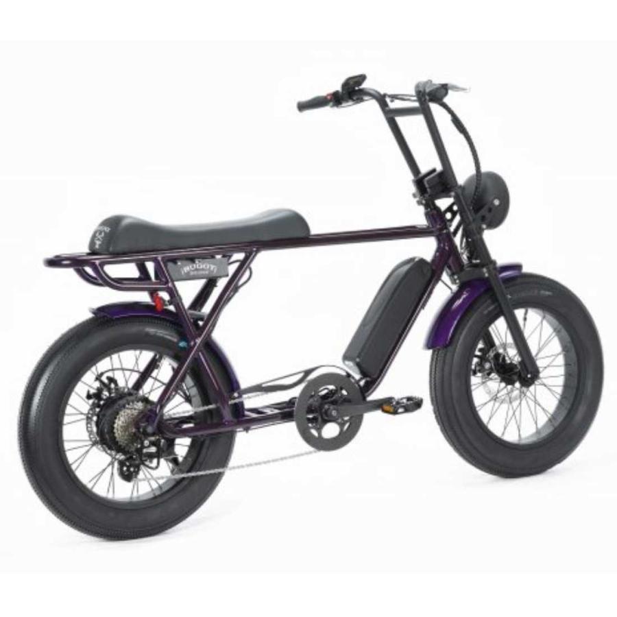 電動アシスト自転車 BRONX BUGGY-20 e-BIKE Amethysit Eバイク 公道可 東京 神奈川 埼玉 千葉 地域限定販売 ファットバイク 20インチ : ラナイマカイ ...