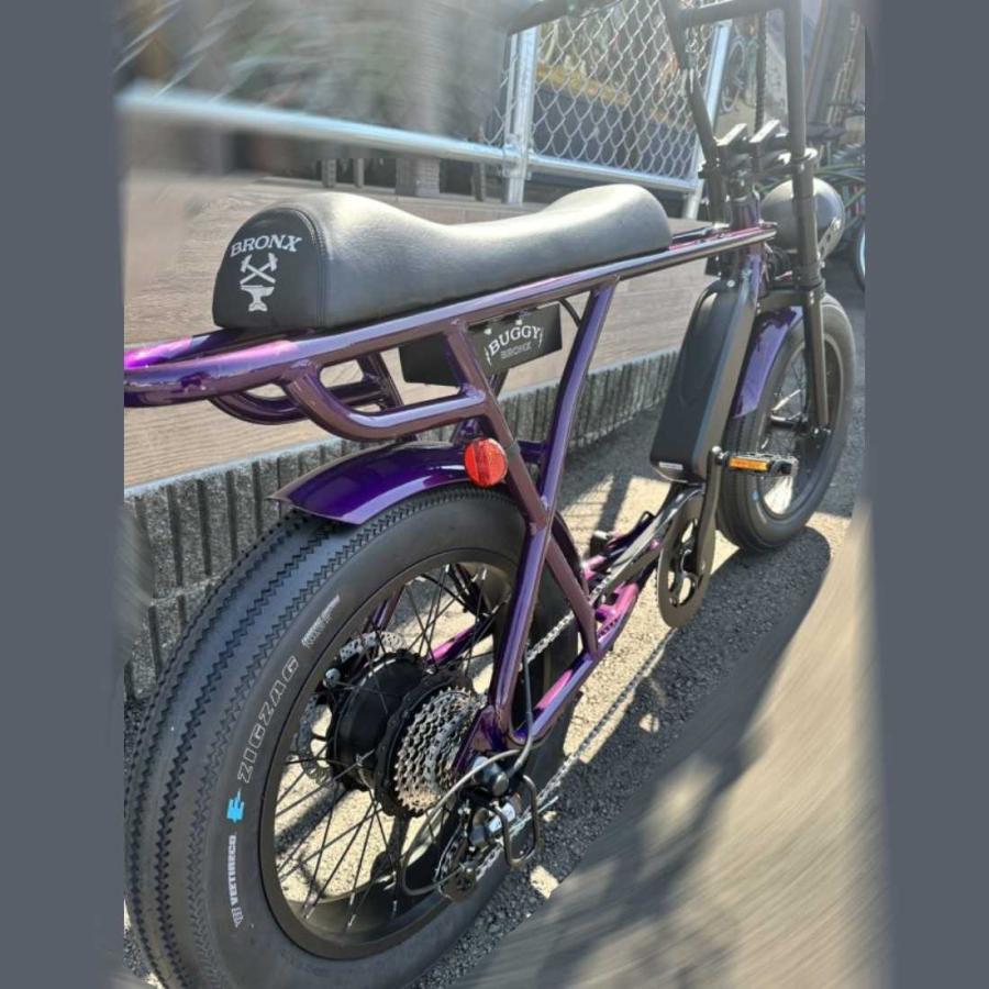 電動アシスト自転車 BRONX BUGGY-20 e-BIKE Amethysit Eバイク 公道可 東京 神奈川 埼玉 千葉 地域限定販売 ファットバイク 20インチ : ラナイマカイ ...