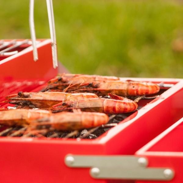 お手軽どこでもバーベキュー SUCK UK バーベキュー ツールボックス BBQ Tool Box : MONOLAB STORE - 通販 - Yahoo!ショッピング