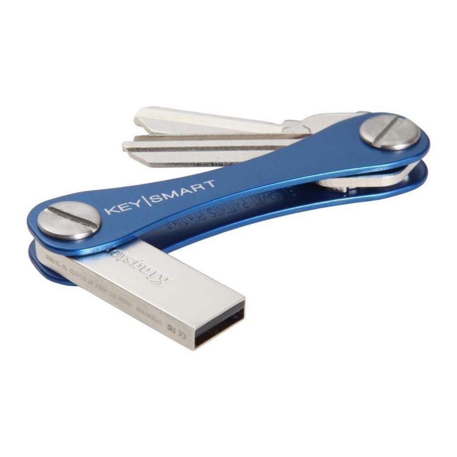 Key Smart 2.0 オプション USBメモリ 16GB キースマート用 USB 16ギガバイト : MONOLAB STORE ...