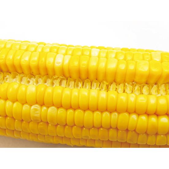 TRAMD 粒取り名人 NIPPON (TP-100) ステンレス シンプル キッチンツール 下ごしらえ コーン トウモロコシ 実取り 粒取り トッピング サラダ【日本製】 : パレット ...