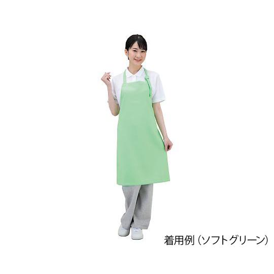 ナビス 抗ウイルスエプロン Dr.Earth? 首掛け オレンジ 7-779-04 : 機械工具のラプラス - 通販 - Yahoo!ショッピング