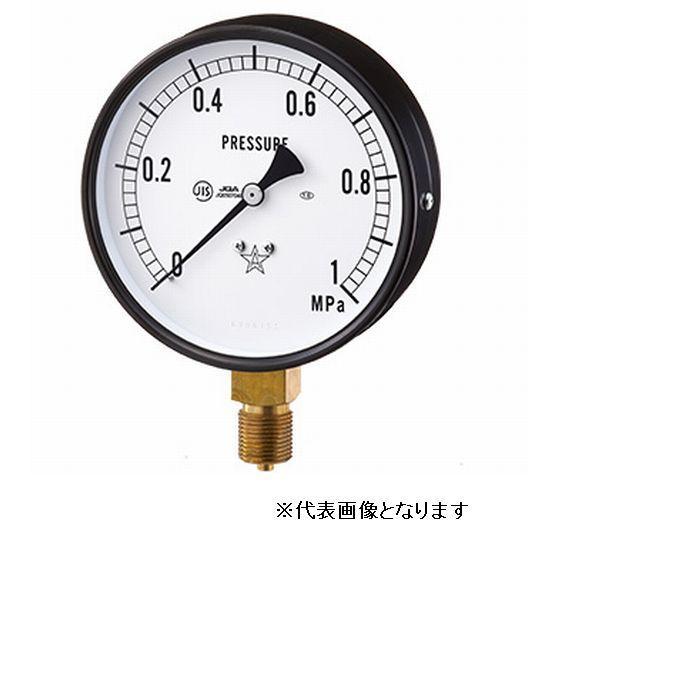 右下精器 汎用圧力計(スターゲージ BT3/8-100X0.4MPA : 機械工具のラプラス - 通販 - Yahoo!ショッピング