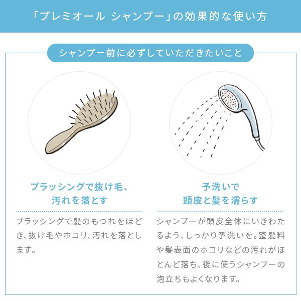 ラサーナ プレミオール （シャンプー 130ml/トリートメント 130g）アミノ酸 弱酸性 頭皮 ダメージケア オイルコントロール ヘアトリートメント 洗い流す :pspt130:ラサーナ ...