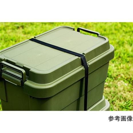 LiSS リス（RISU） 収納ボックス コンテナ トランクカーゴ TC-70S GHON109 : L-Breath Yahoo!店 - 通販 - Yahoo!ショッピング