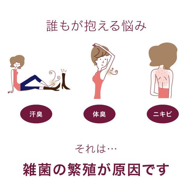 PROIDEA（プロイデア） \泡立ち良くサッパリ／ローズドデオシャボン 増量 600ml 体臭 ボディ ソープ 加齢臭 汗臭 殺菌 デオドラント ボディー シャンプー 薔薇の香り 女性 男性 ...