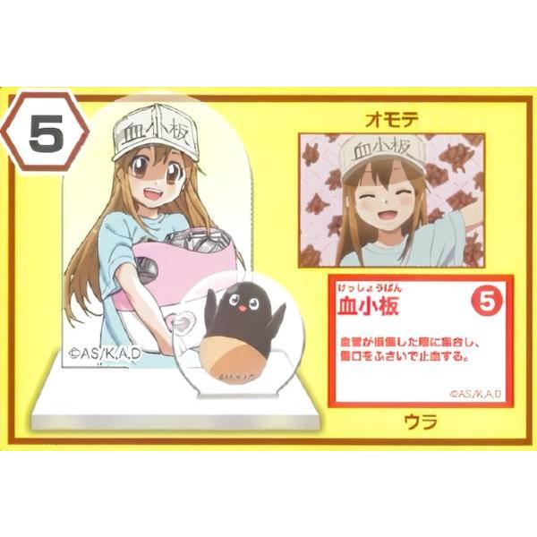 【5.血小板】 チョコエッグキッズ はたらく細胞 : トレカショップ LEAD. - 通販 - Yahoo!ショッピング
