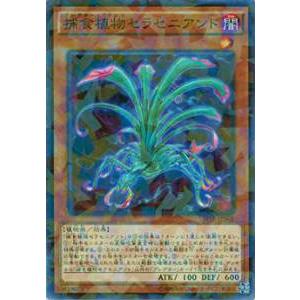 【プレイ用】遊戯王 SPFE-JP001 捕食植物セラセニアント(日本語版 ノーマルパラレル)【中古】 ブースターSPフュージョン・エンフォーサーズ : トレカショップ LEAD. - 通販 ...
