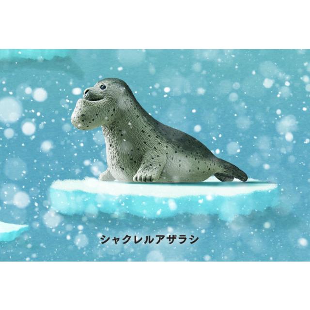 【シャクレルアザラシ】パンダの穴 SHAKUREL PLANET 3 : トレカショップ LEAD. - 通販 - Yahoo!ショッピング