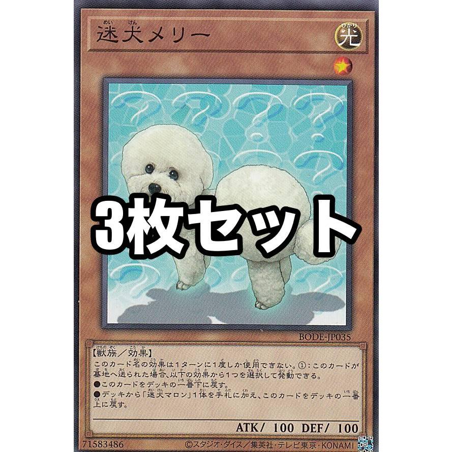 【3枚セット】遊戯王 BODE-JP035 迷犬メリー (日本語版 ノーマルレア) バースト・オブ・デスティニー : トレカショップ LEAD. - 通販 - Yahoo!ショッピング