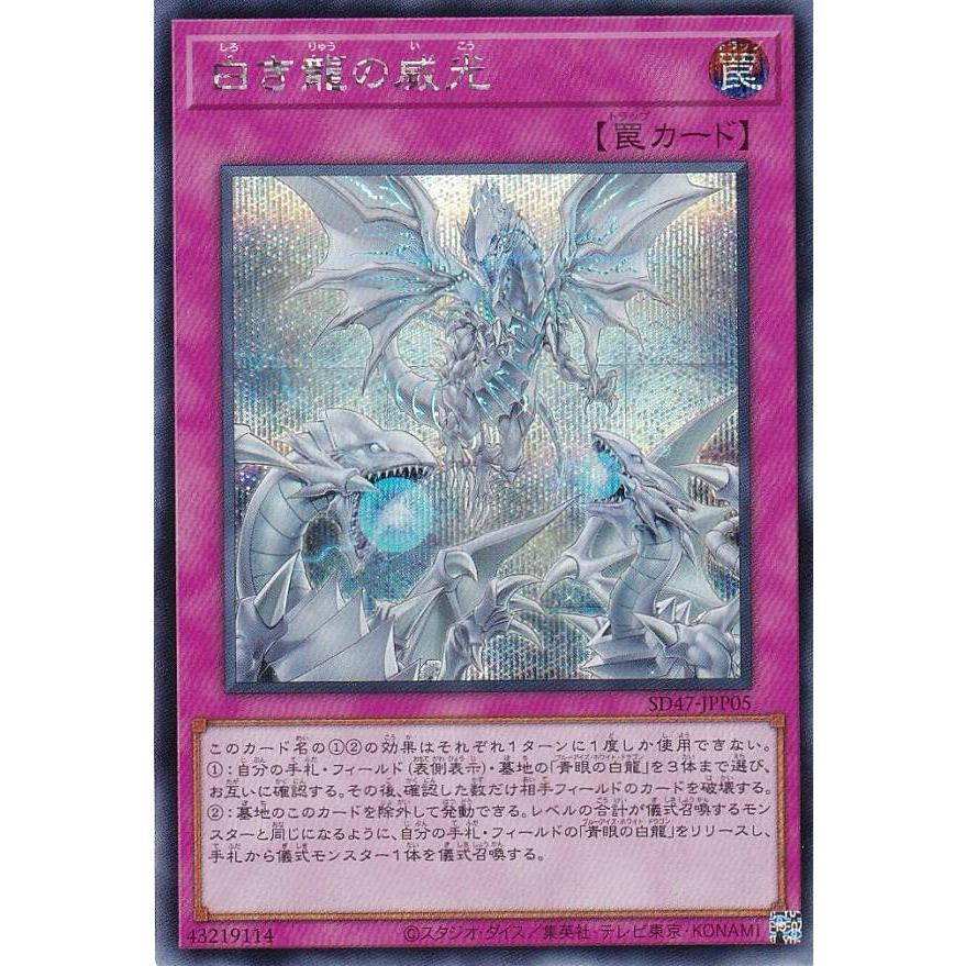 遊戯王 SD47-JPP05 白き龍の威光 (日本語版 シークレットレア) ストラクチャーデッキ −青き眼の光臨− : sd47072409tts005 : トレカショップ LEAD ...
