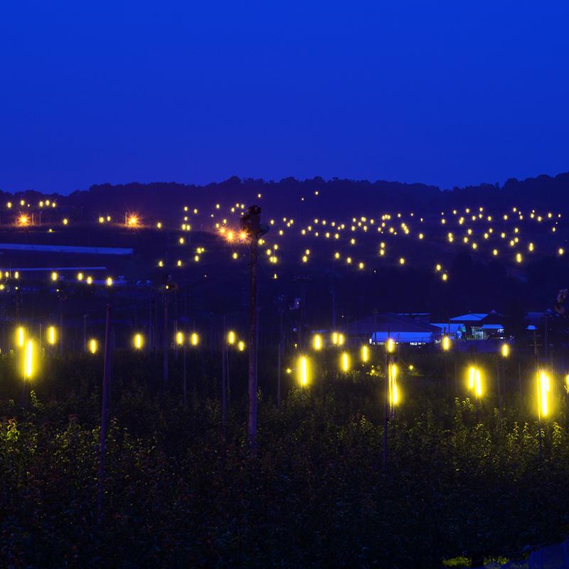 【ys220bayb】防蛾灯 220w 28600lm スタンド付 バルーンタイプ 防水 イエローバリアフィルター 夜間害虫防除 梨園 桃園 ぶどう園 りんご園 : LED蛍光灯 ライトバンク ...