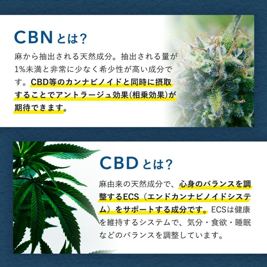 CBD CBN グミ 400mg 300mg 100mg 1粒40mg 30mg CBN10mg マスカット味 roun ラウン ブロード ...