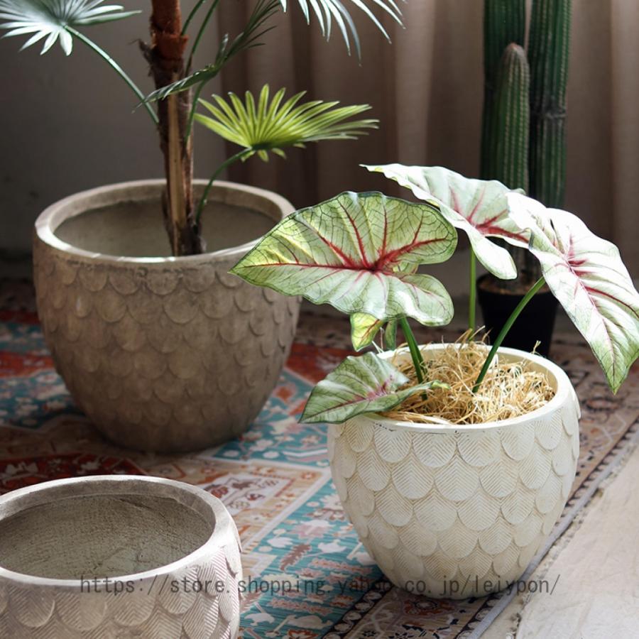 プランター 植木鉢 セメント製 ヨーロッパ調 シンプル 底に水抜き穴あり 鉢ポット 大型 丸形 クリエイティブ 落地 おしゃれ うろこ状の植物鉢 客間の装飾 : g03-qcn-0jnr6a ...