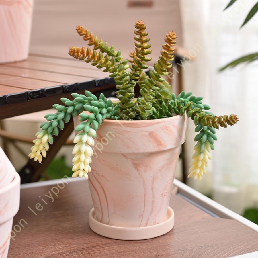 丈夫で長持ち 植木鉢 陶器 ハーブのかおり ホワイトビスク大きい サイズ 16cm 陶器鉢 深型 おしゃれ プランター 園芸資材 ガーデニング 大型 小型 室内 屋内 :g03-qcn ...