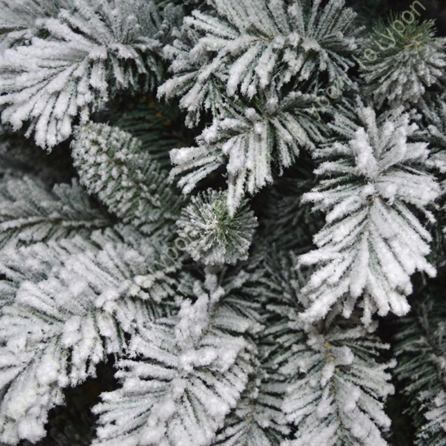 クリスマスツリー 大型 針葉樹 ヌードツリー 北欧 かわいい 本物そっくり 自宅用 店舗用 屋内 屋外 装飾用 色鮮やかな光 クリスマスデコレーション :qfg-99X-JR18H ...