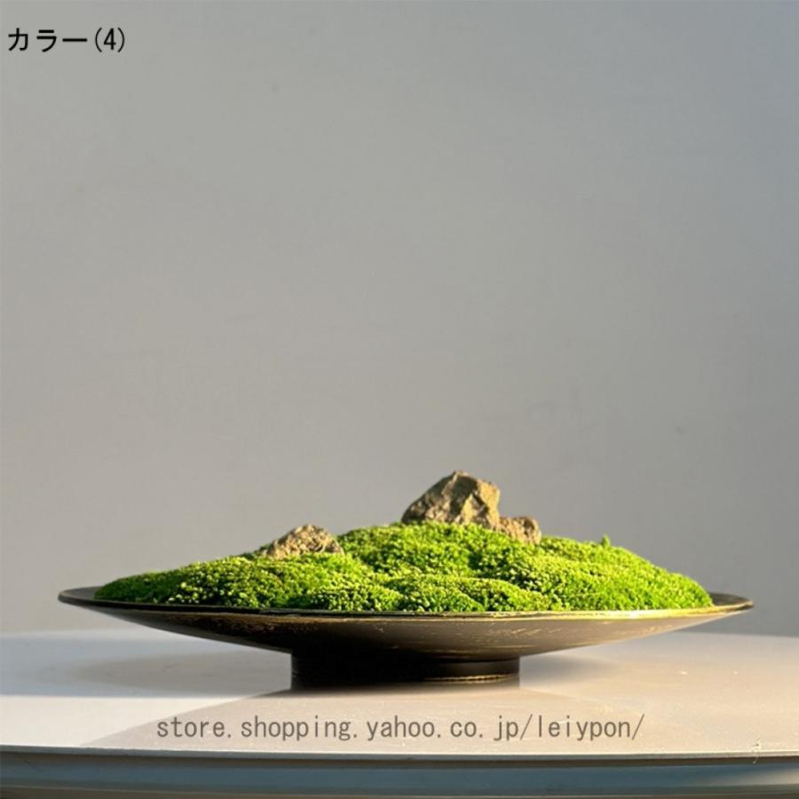 人工観葉植物 本物そっくり フェイクグリーン 人工盆栽 鉢植え 卓上 おしゃれ 現代的な装飾 細い枝に繊細な葉 茂る外観 自然な姿 リビングルーム 玄関 室内 : leiypon - 通販 ...