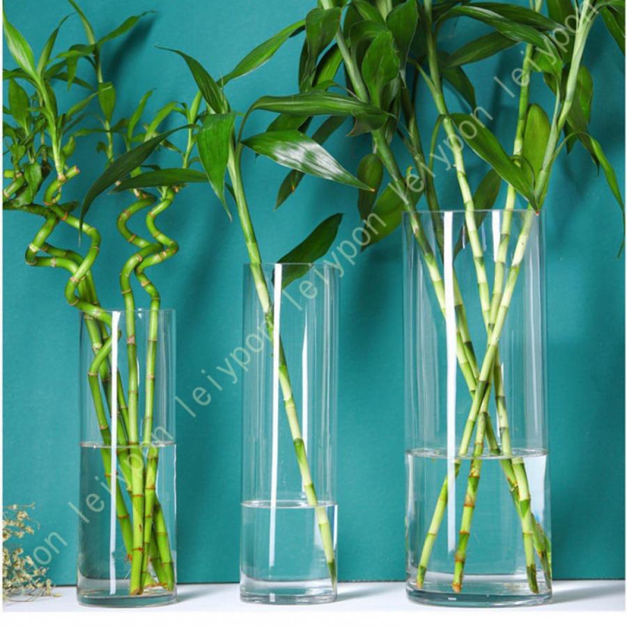 ガラスの花瓶 透明 花器 フラワーベース 30cm ガラスベース ガラスボトル アレンジ インテリア 水栽培 生け花 造花 おしゃれ シンプル インテリア クリヤ : zfn-t02 ...
