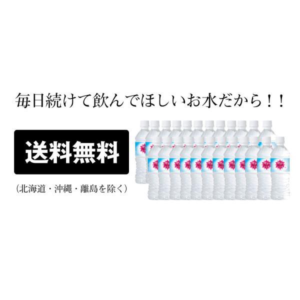 シリカ水 500ml 48本 高濃度シリカ水 シリカウォーター 理想のシリカ ミネラルウォーター ケイ素水 天然水 天然シリカ 水 軟水 国産 鳥取県産 防災 備蓄 保存食 : risou ...