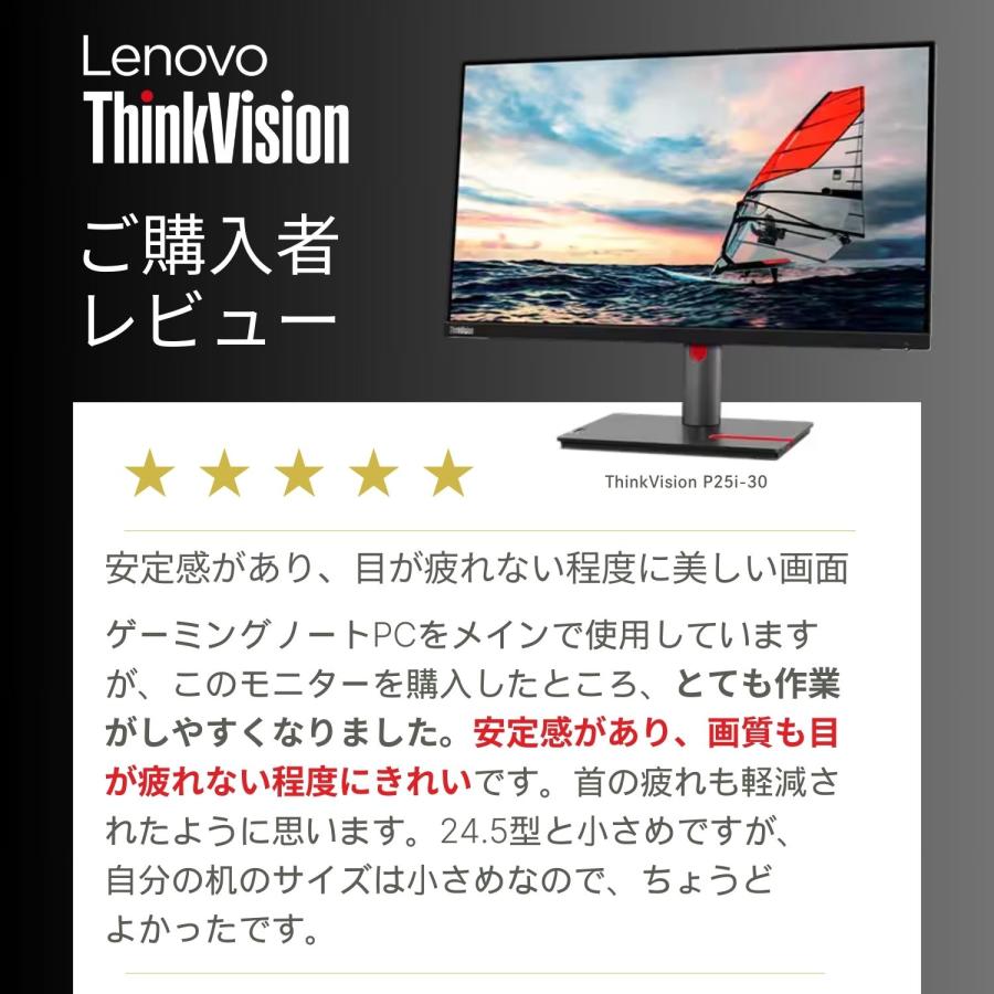 Lenovo 【公式・直販】モニター 24.5インチ ディスプレイ Lenovo 【公式・直販】モニター 24.5インチ ディスプレイ
