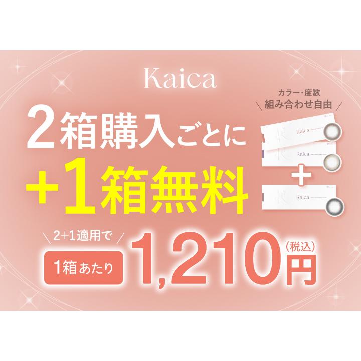 Ever Color カラコン kaica 1day カイカ ワンデー 1箱 10枚入り 3箱パック 沢尻エリカさん イメージモデル 度あり 度なし コンタクト コンタクトレンズ ...