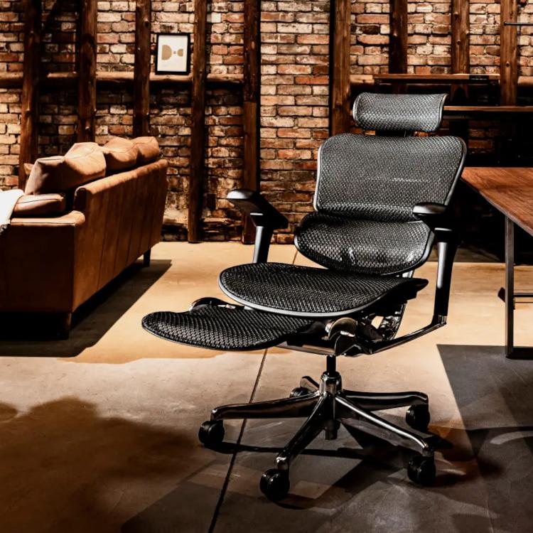 エルゴヒューマン プロ2 新基盤 オットマン ハイタイプ EHP2-LPL-DR ergohuman pro2 ottoman 一部地域除く送料無料 配送設置 デスクチェア オフィスチェア ...