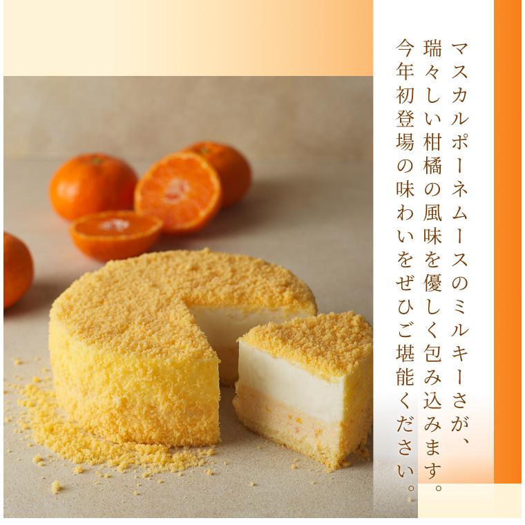 ルタオ お歳暮 2025 プレゼント ギフト スイーツ チーズケーキ ケーキ みかんドゥーブル : LeTAO ルタオ Yahoo!ショッピング店 - 通販 - Yahoo!ショッピング