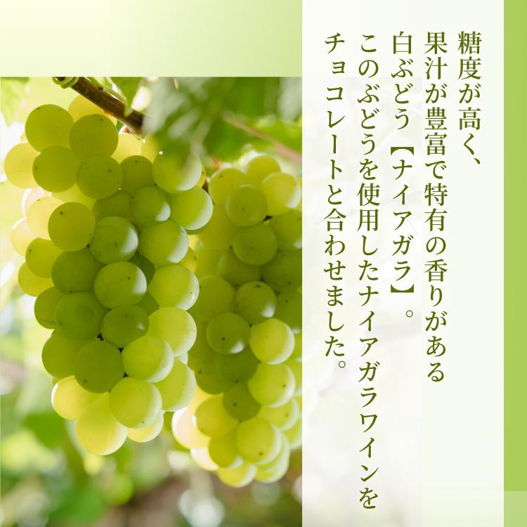 ルタオ 敬老の日 2025 プレゼント ギフト チョコレート 生チョコ レアチョコレート ナイアガラ（1箱）送料込み ポイント利用 : LeTAO ルタオ Yahoo!ショッピング店 - 通販 ...