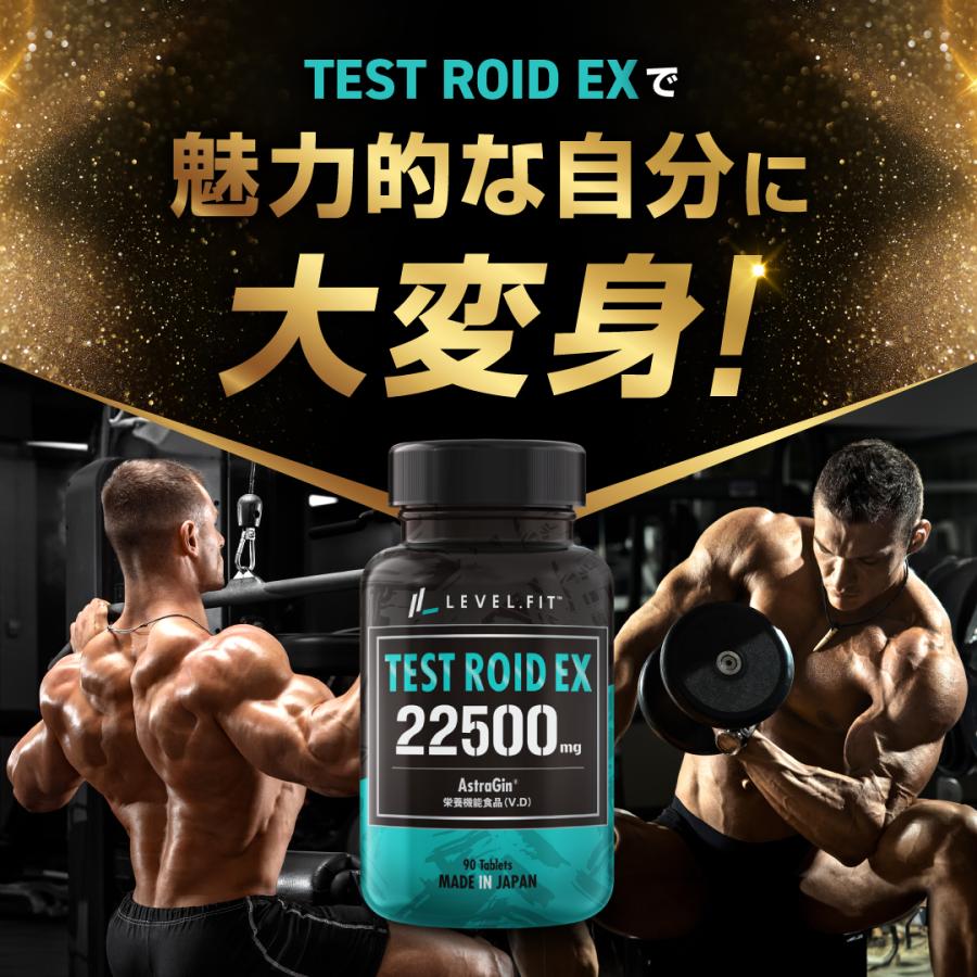 テストステロン LEVEL.FIT TEST ROID EX（テストロイドEX）90粒（30回目安） テストフェン サプリ 国産 ...